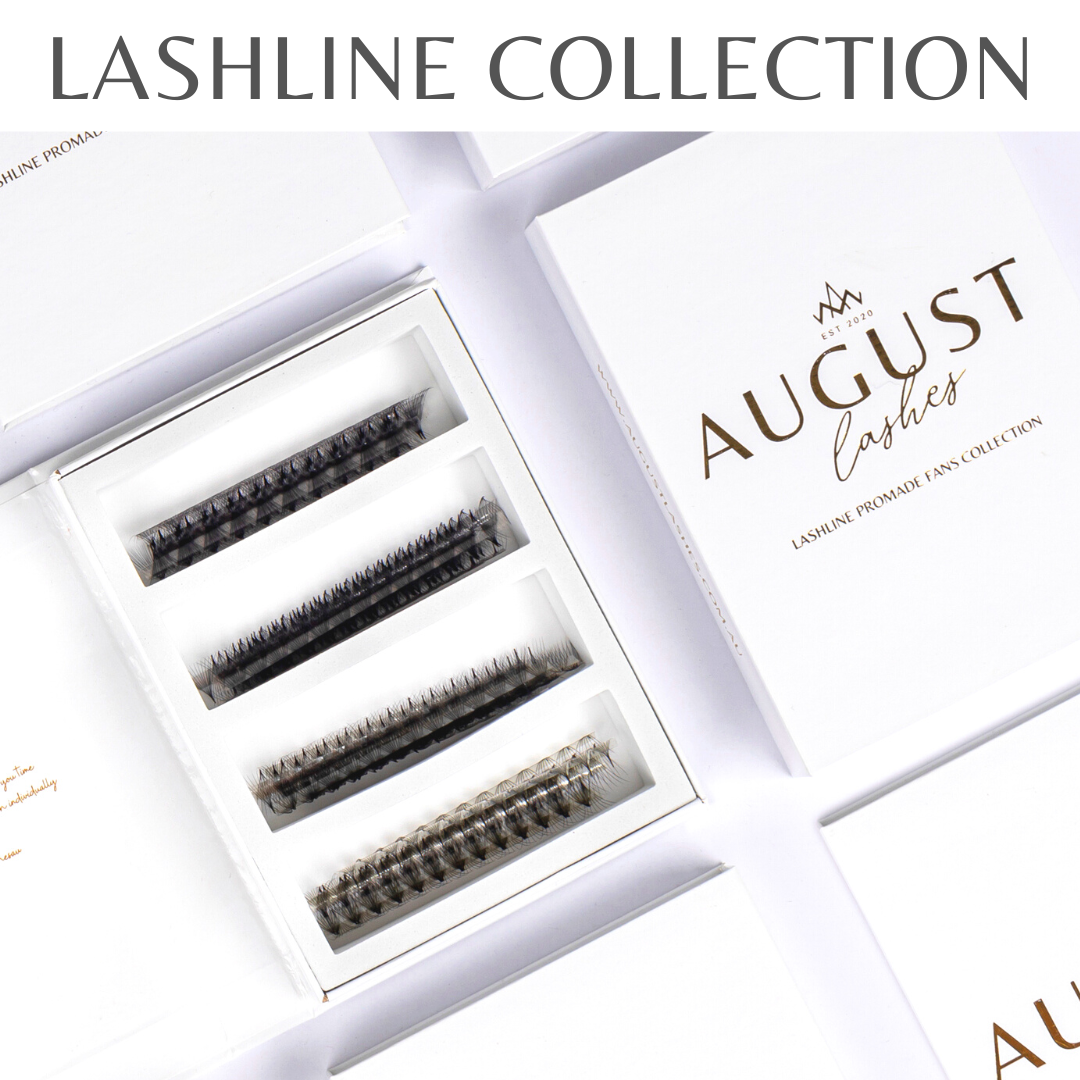 How to Use: Lashline (Rapid) Promade Fans – August Lashes