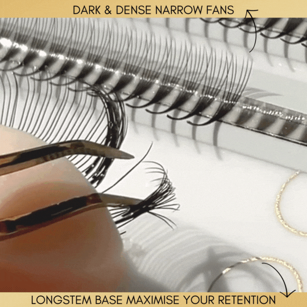 6D 0.07 Promade Fans - Narrowbox - 810 Fans – August Lashes