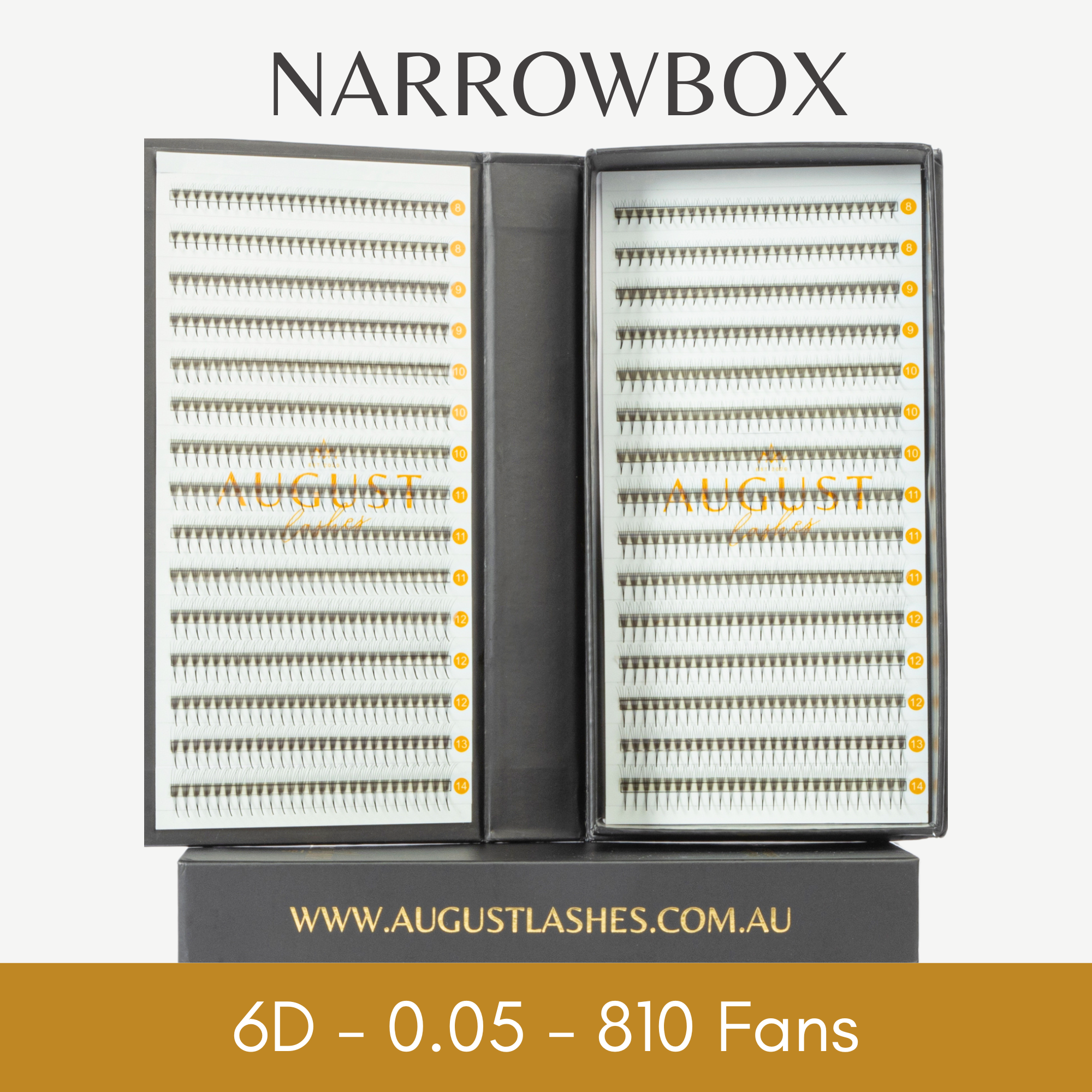 6D 0.05 Promade Fans - Narrowbox - 810 Fans – August Lashes
