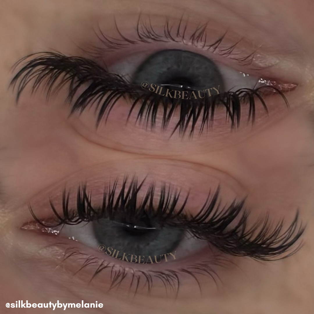 Promade Closed fans - Wet Lash Look – August Lashes