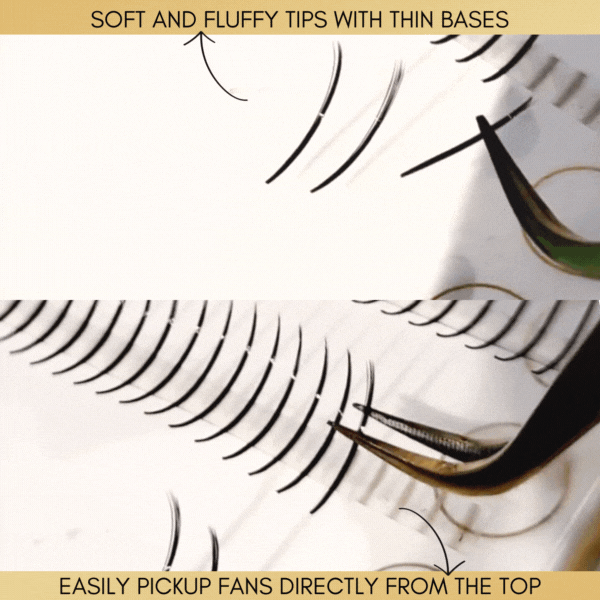 Brown Promade Closed fans - Wet Lash Look – August Lashes