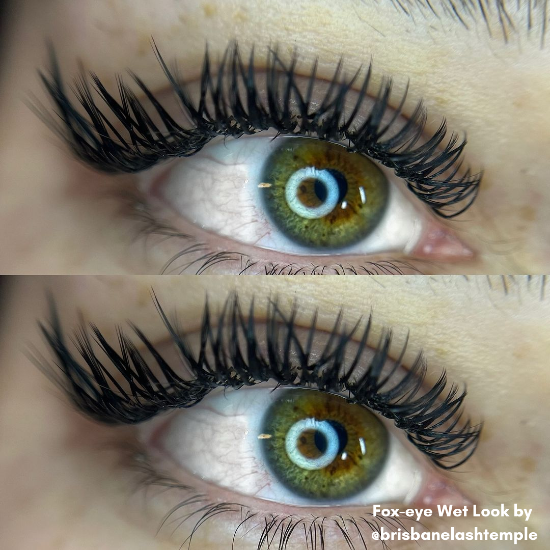 Promade Closed fans - Wet Lash Look – August Lashes