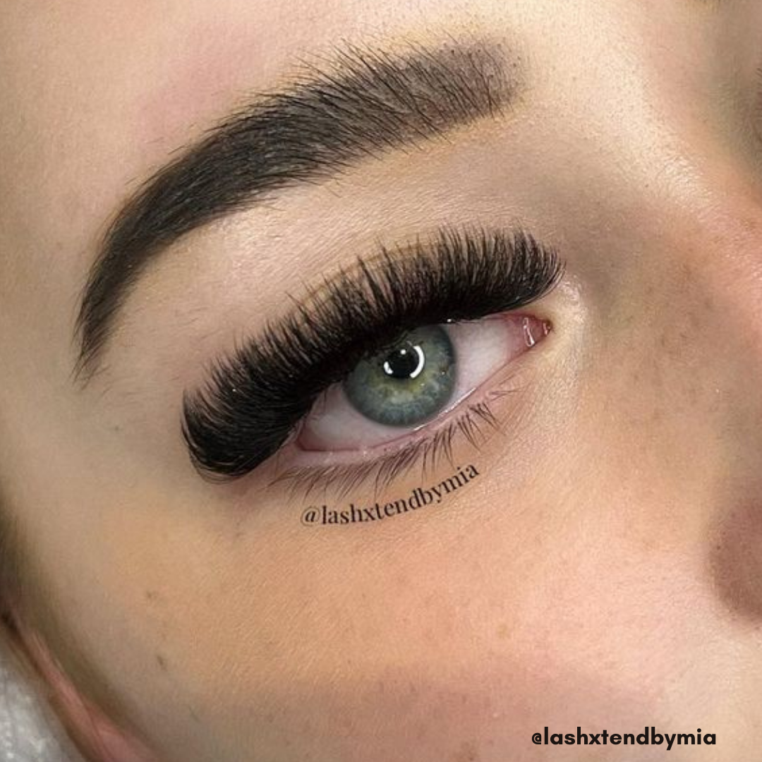 10D Promade Eyelash Extensions – August Lashes
