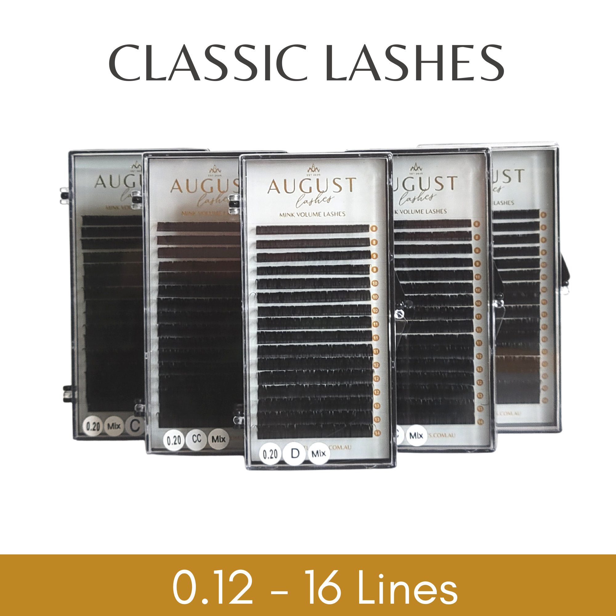 Flat / Ellipse Eyelash Extensions – August Lashes