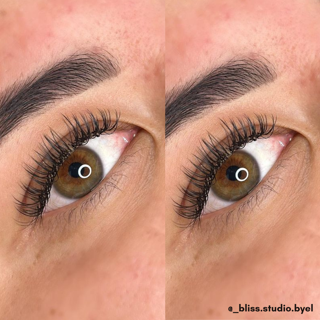 Flat / Ellipse Eyelash Extensions – August Lashes